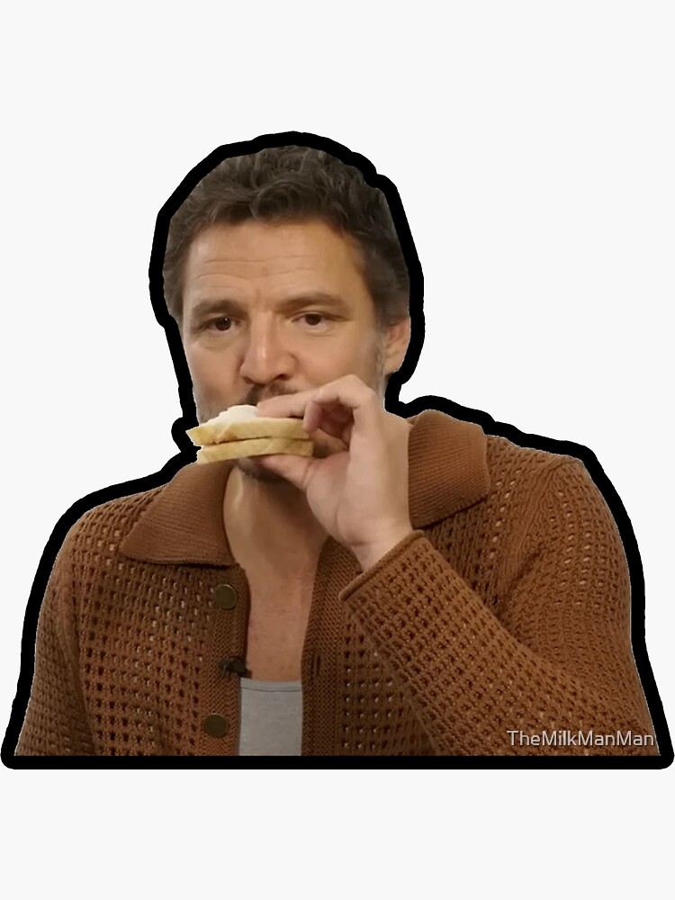Sandwich Eating Meme #ketcupsandwich #fyp #memezz #goodeating | TikTok
