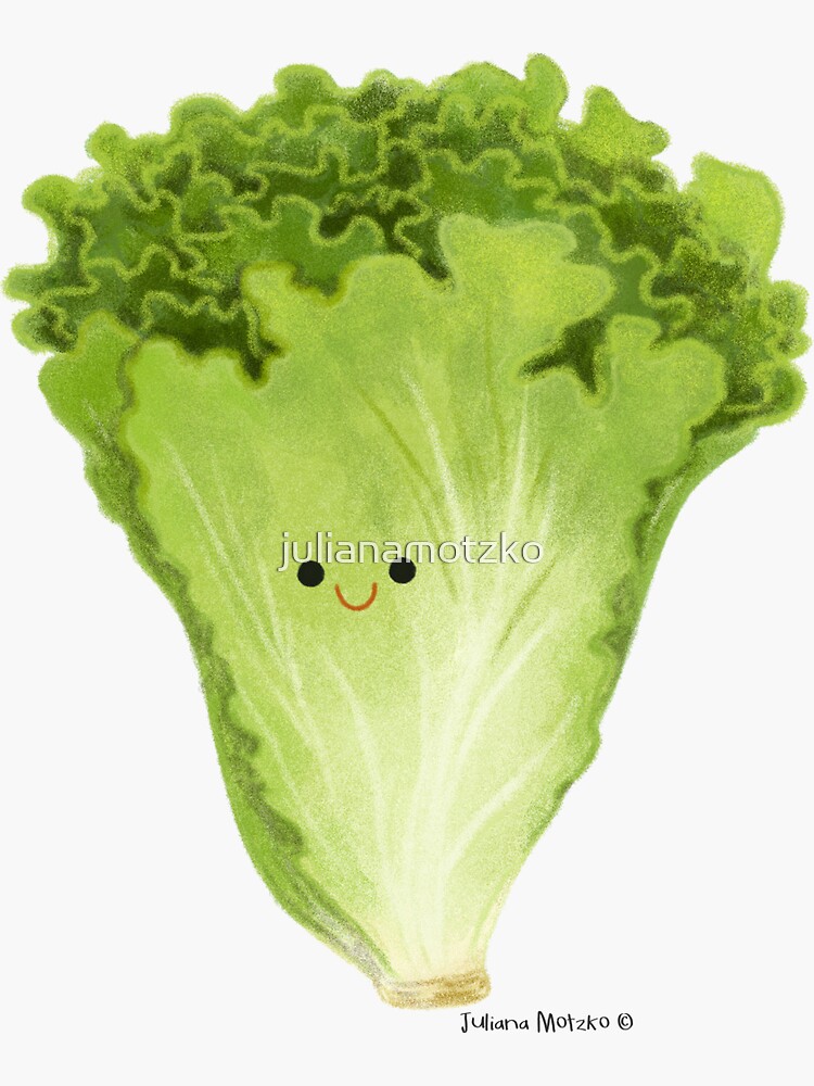 Cartoon Lettuce Slice
