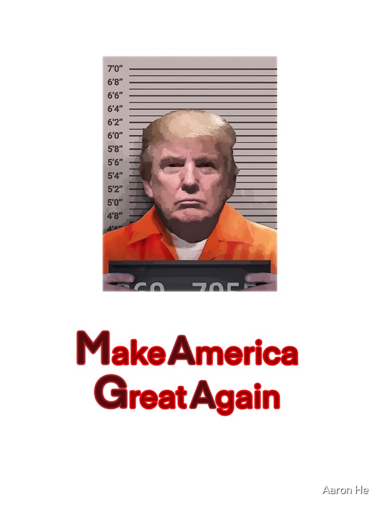 "Trump Mugshot" Sticker for Sale by Aaron He | Redbubble