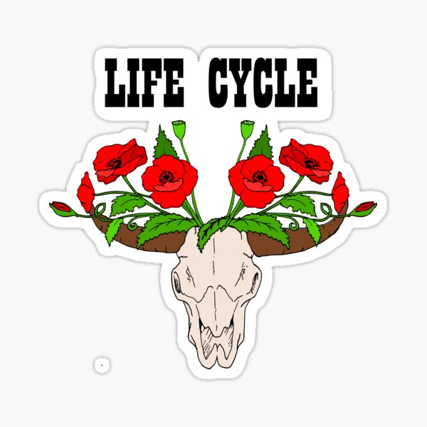 "Life cycle" Sticker for Sale by WhisperOfIce | Redbubble