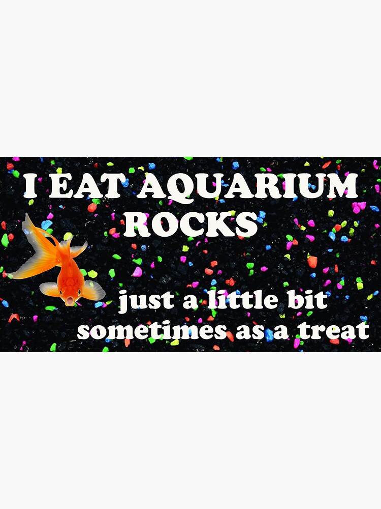 "i eat aquarium rocks " Sticker for Sale by bl00dys0up | Redbubble