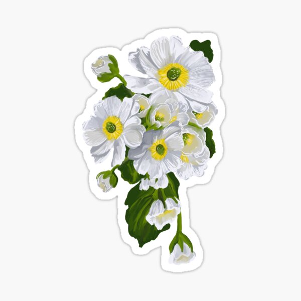 "Mount Cook buttercup" Sticker for Sale by carole hirst | Redbubble