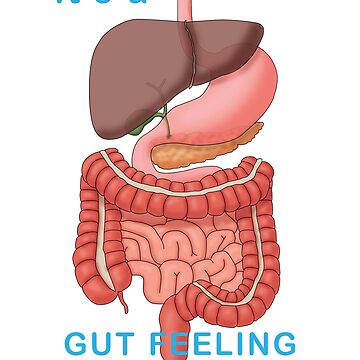 "It's a Gut Feeling Digestive System Illustration" Sticker for Sale by ...