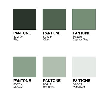 "Muted Green Pantone Set" Sticker for Sale by SundownDesigns | Redbubble