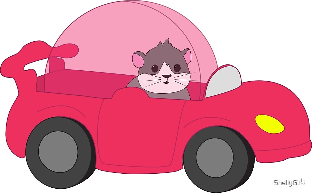 "Hamster Driving A Car" by ShellyG14 | Redbubble