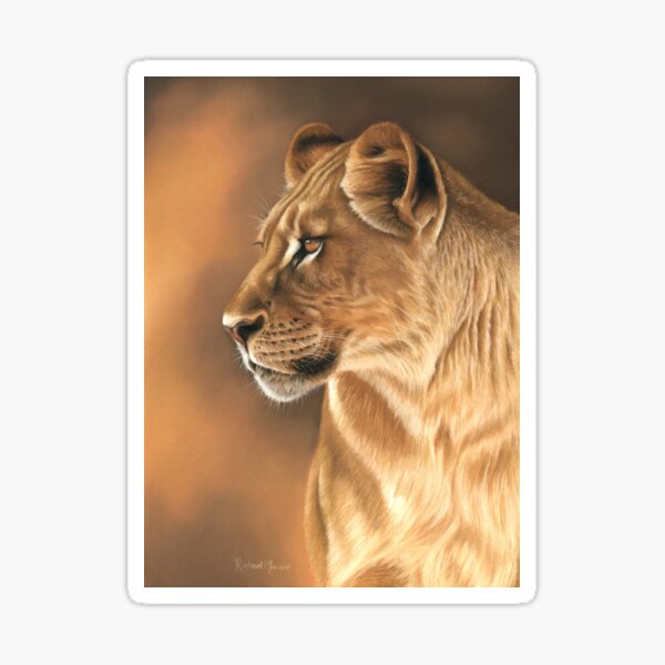 "Lioness" Sticker for Sale by richardmacwee | Redbubble