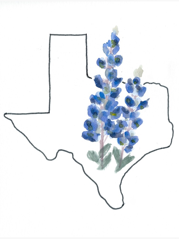 "texas bluebonnet state flower" Sticker for Sale by ashymd | Redbubble