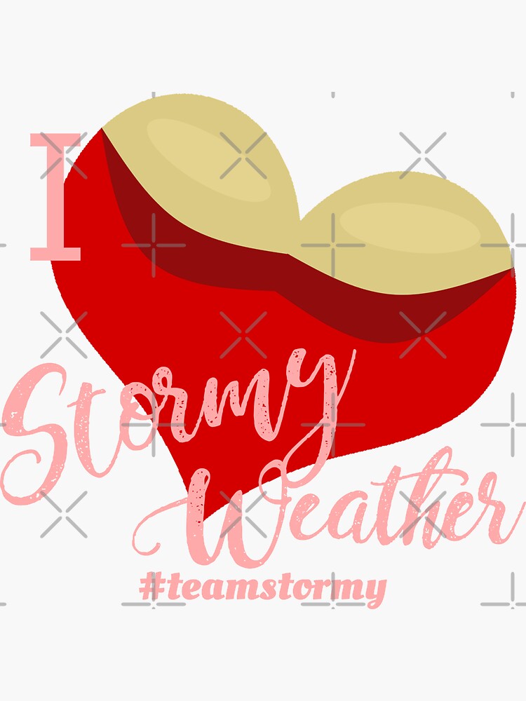"Stormy Daniels Donald Trump design - I love stormy weather #teamstormy ...