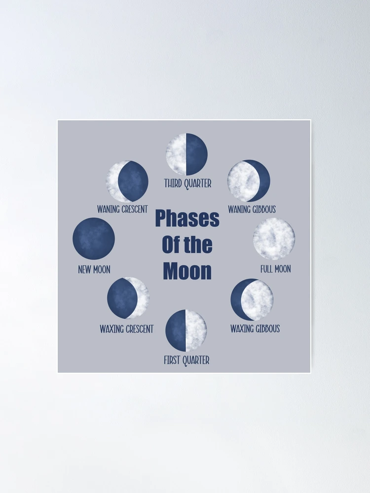 Poster Phases Of The Moon