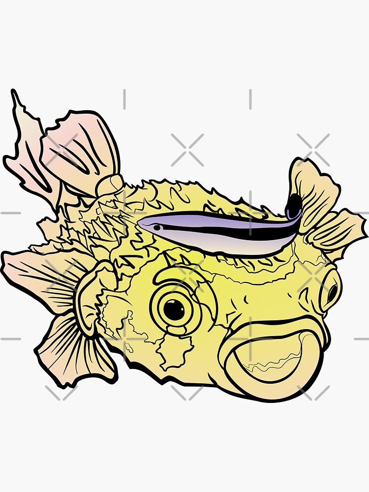 "porcupinefish puffer fish confused and amazed by cleaner fish" Sticker ...