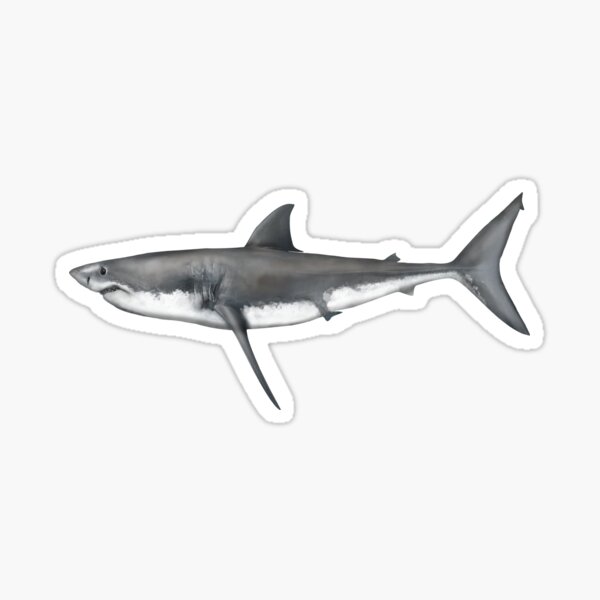 "Mrs Great White" Sticker by RawPrawnArt | Redbubble