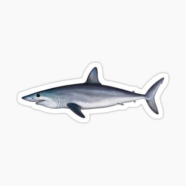 "Blue Shark, Mako" Sticker by RawPrawnArt | Redbubble
