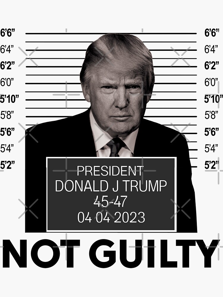 "Funny Trump Mugshot Not Guilty" Sticker for Sale by TroyTyler123 ...