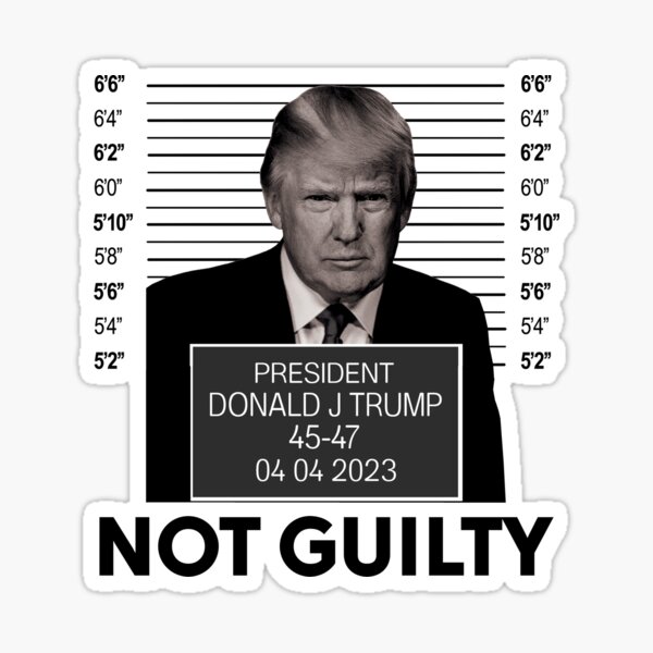 "Funny Trump Mugshot Not Guilty" Sticker for Sale by TroyTyler123 ...