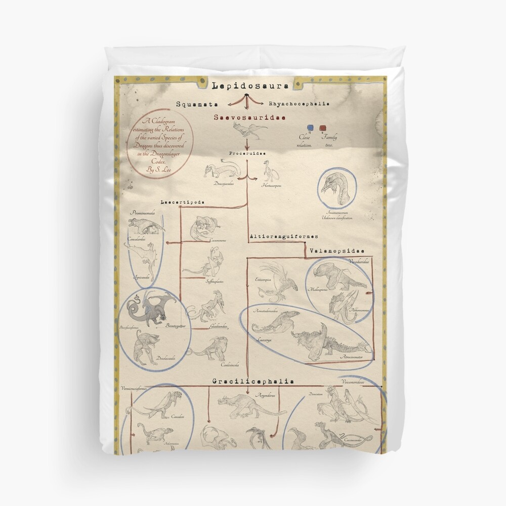 "Dragon Species Cladogram" Poster for Sale by sleeart | Redbubble