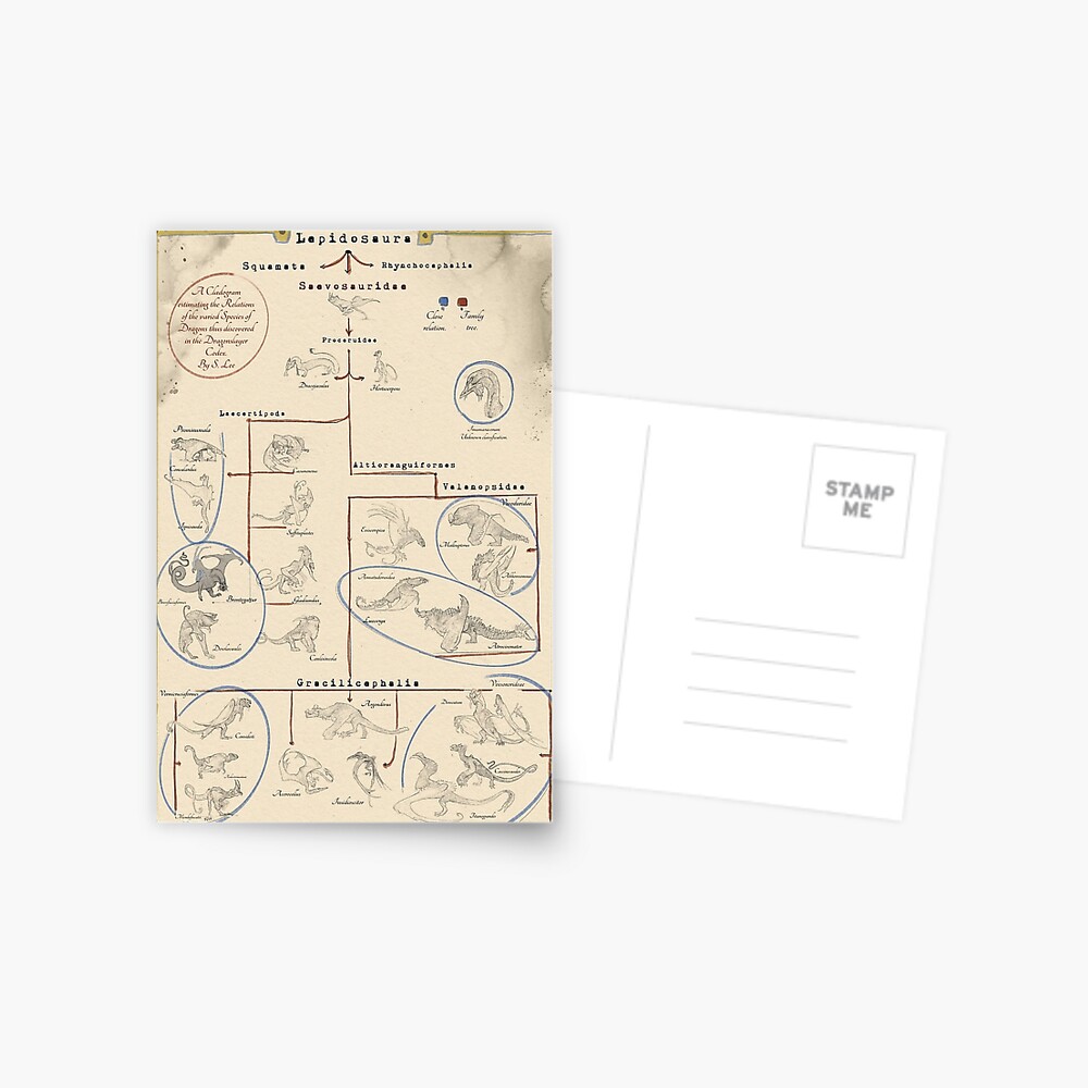 "Dragon Species Cladogram" Poster for Sale by sleeart | Redbubble