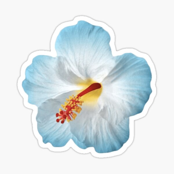 "summer flower" Sticker for Sale by Ang3l-R0t | Redbubble