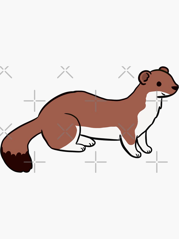 "Cute weasel illustration " Sticker for Sale by Yarafantasyart | Redbubble