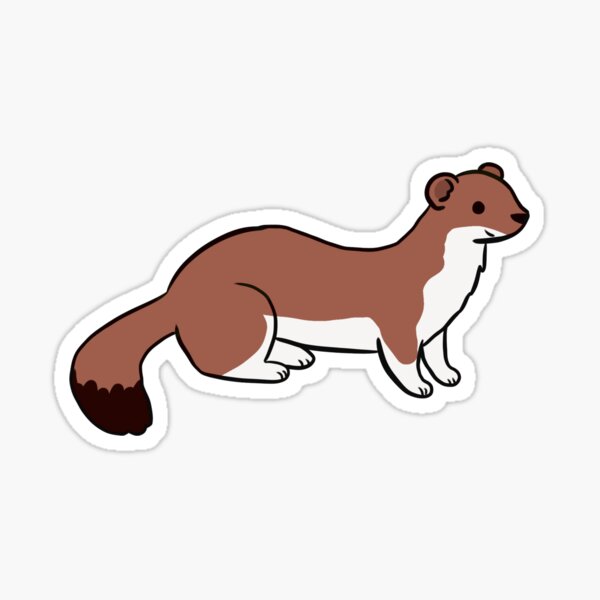 "Cute weasel illustration " Sticker for Sale by Yarafantasyart | Redbubble