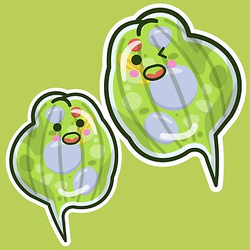 "Phacus onxy, Euglenoids algae, Cute plankton cartoon, Microalgae art ...