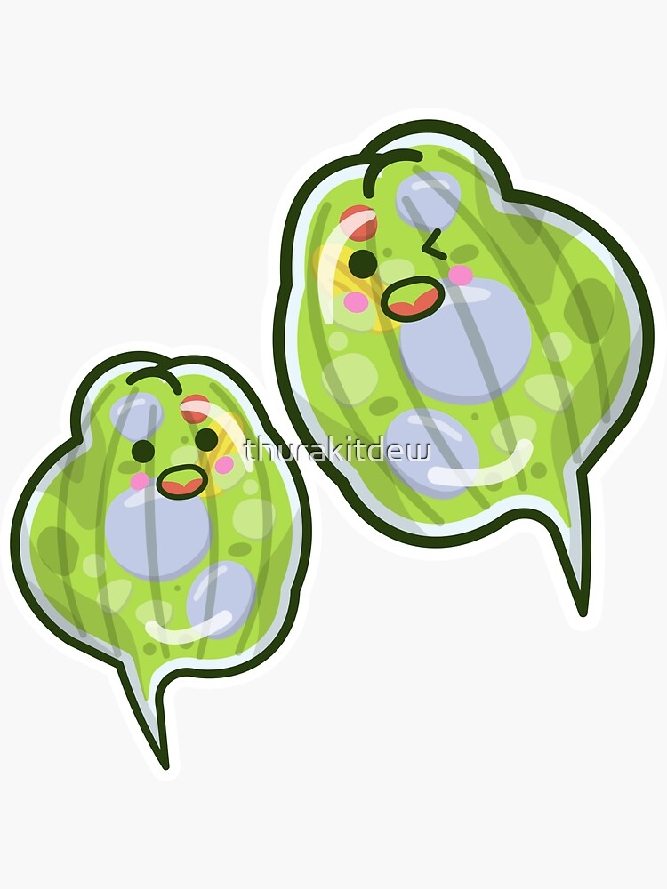 "Phacus onxy, Euglenoids algae, Cute plankton cartoon, Microalgae art ...