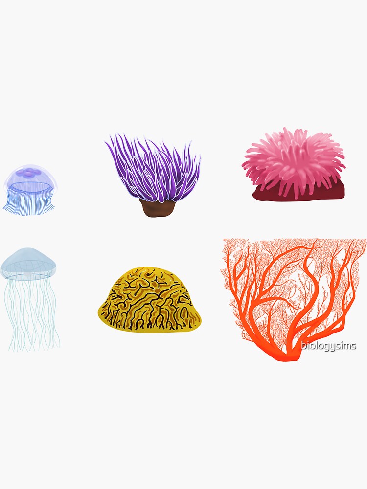"Assorted Cnidarians" Sticker for Sale by biologysims | Redbubble