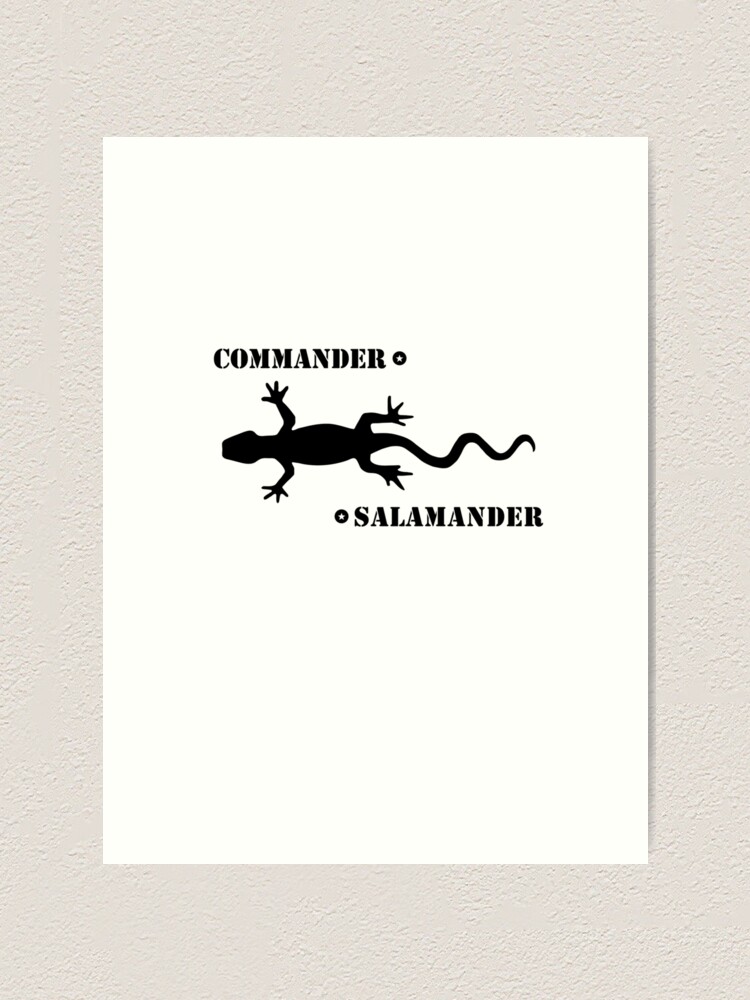 "Commander Salamander - Washington D.C." Art Print by Fitcharoo | Redbubble