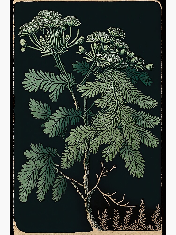 Whimsical Hemlock Woodcut Print on Black for Art Lovers Premium Matte ...
