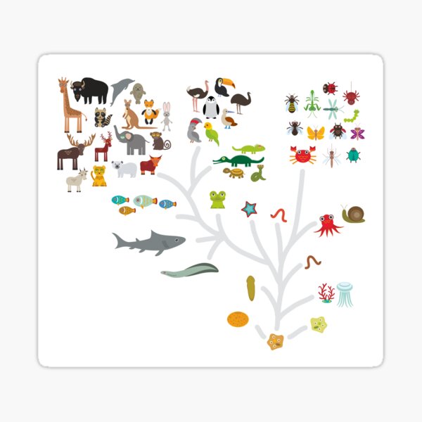 "Evolution scale from unicellular organism to mammals. Evolution in ...