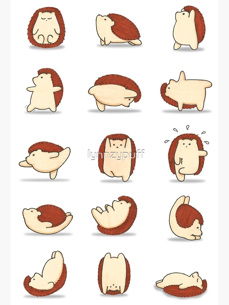 "Igel-Yoga" Kunstdruck von lynnzypuff | Redbubble