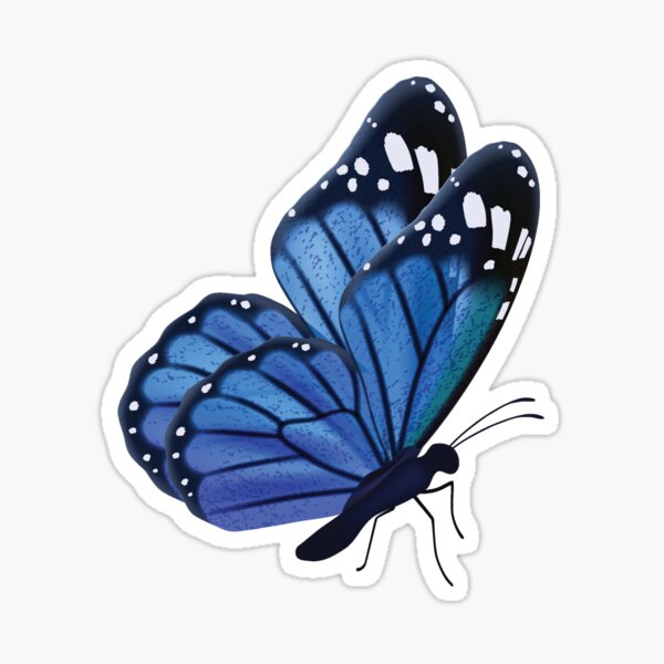 "Blue butterfly " Sticker for Sale by Stay-Pawsitive | Redbubble