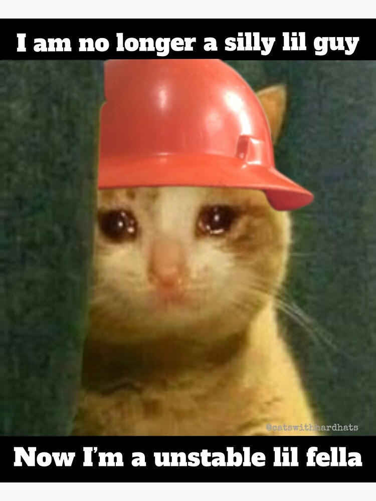 "Unstable lol fella" Sticker for Sale by Catwithhardhat | Redbubble