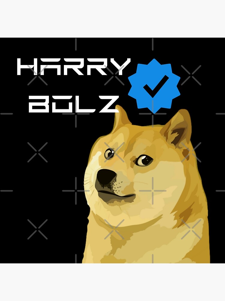 "Harry Bolz - Elon Musk's new Titter Screen Name - Twitter - Doge" Art ...
