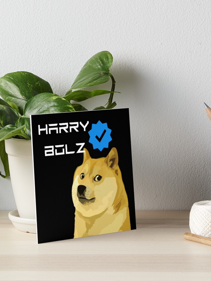"Harry Bolz - Elon Musk's new Titter Screen Name - Twitter - Doge" Art ...