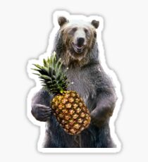 Bear Fruit Stickers | Redbubble