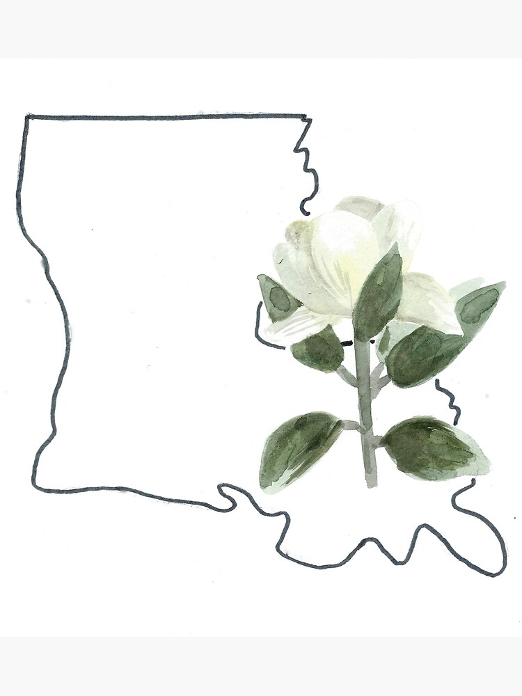 "louisiana magnolia state flower" Art Print by ashymd | Redbubble