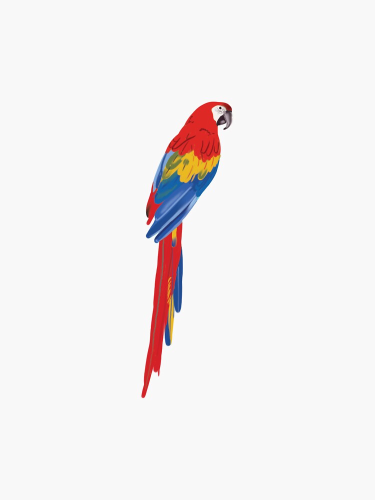 Pegatina con la obra «Guacamaya Bandera - Calcomanía tropical» de ...