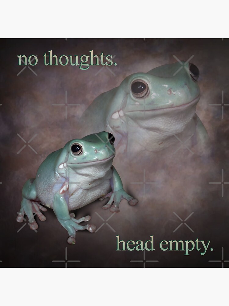 "no thoughts head empty frog retro word art meme" Sticker for Sale by ...