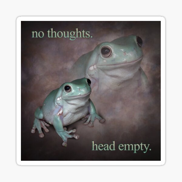 "no thoughts head empty frog retro word art meme" Sticker for Sale by ...