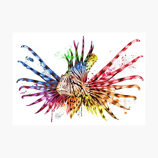 "Lionfish Art Print" Photographic Print for Sale by krishamoscardon ...