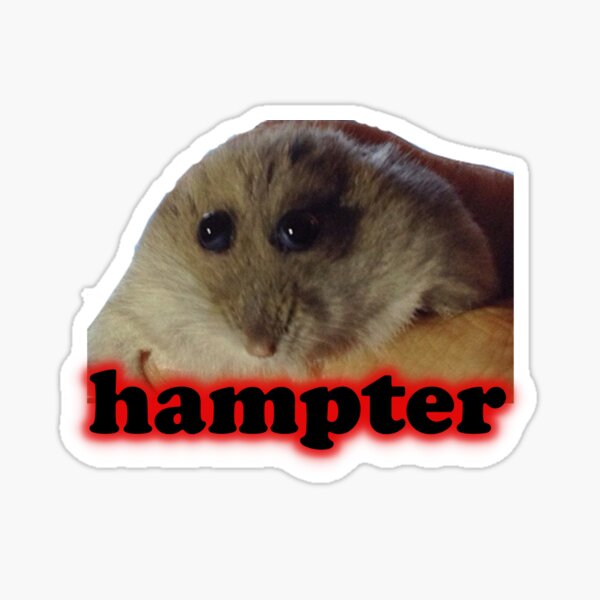 "hampter meme the cute little hampster" Sticker for Sale by ...