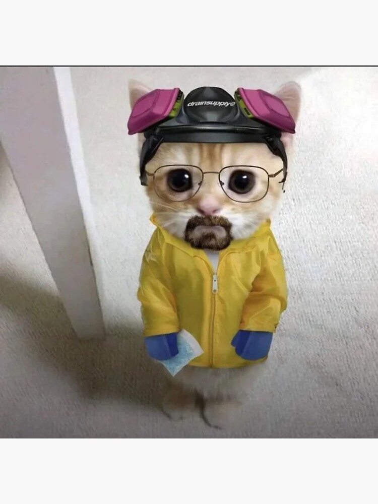"Walter White cat meme" Sticker for Sale by realskinnyp | Redbubble