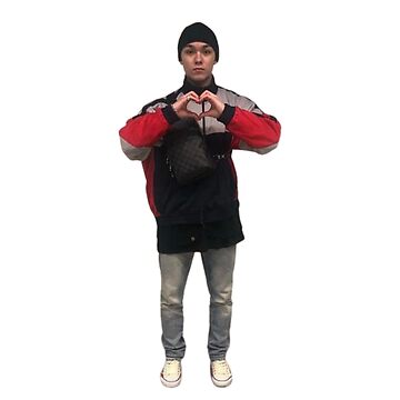 "vernon heart" Sticker for Sale by gimbapabi | Redbubble