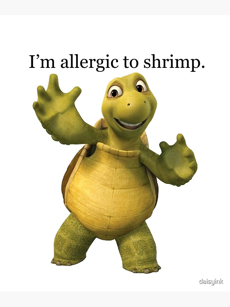 Turtle Cartoon Memes