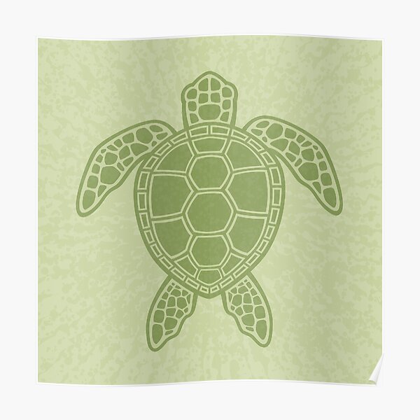 "Green Sea Turtle Design" Poster for Sale by fizzgig | Redbubble