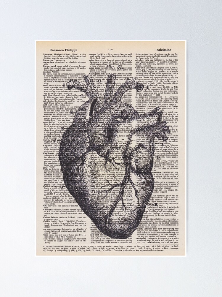 "Human Heart Diagram" Poster by VenusArtist | Redbubble