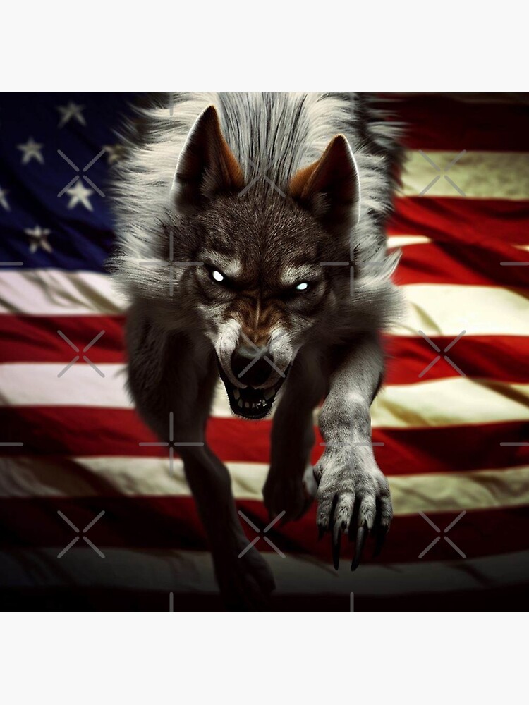 American Flag Wolf Background American Wolf Bilder: Stock Fotos