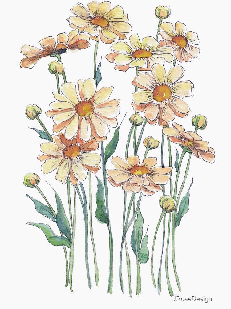 "Daisies" Sticker for Sale by JRoseDesign | Redbubble