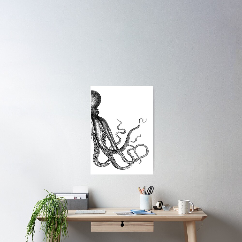 "Half Octopus | Right Side | Vintage Octopus | Tentacles | Sea ...