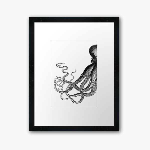 "Half Octopus | Left Side | Vintage Octopus | Tentacles | Sea Creatures ...